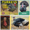 Non-Fiction Books About Turkeys: Fun & Educational Reads