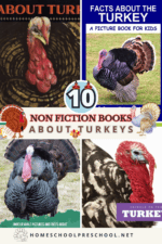 Non-Fiction Books About Turkeys: Fun & Educational Reads