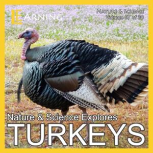 Non-Fiction Books About Turkeys: Fun & Educational Reads