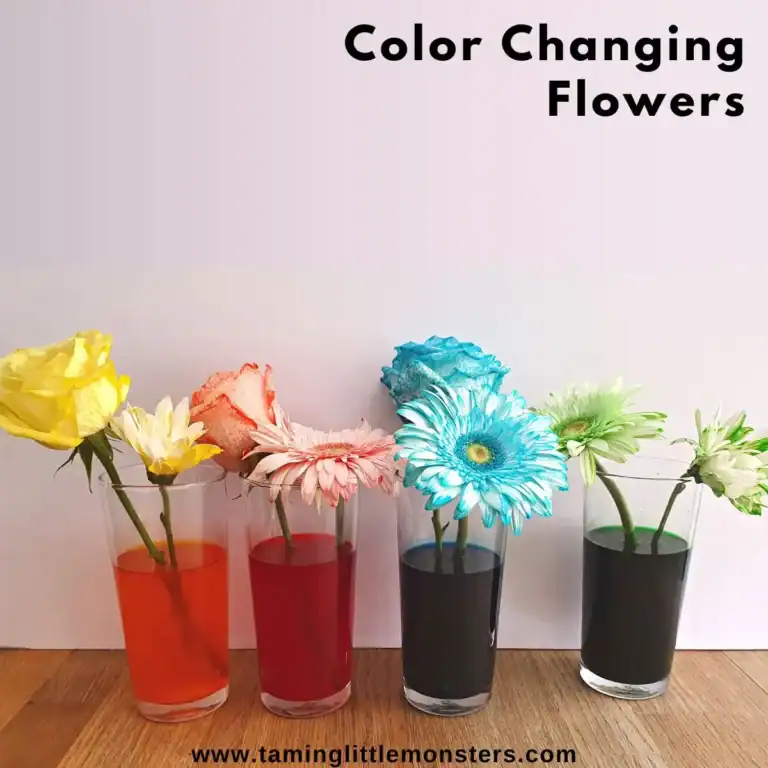 Fun Mixing Colors Activities for Preschoolers to Try