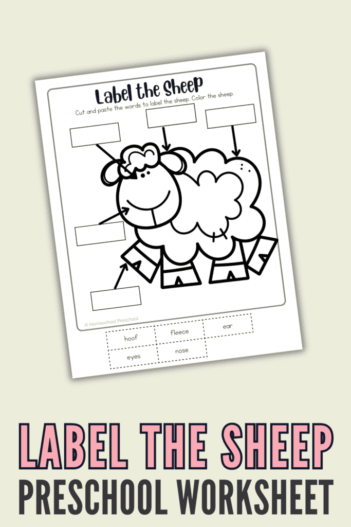 Fun Label the Sheep Worksheet for Kids' Learning
