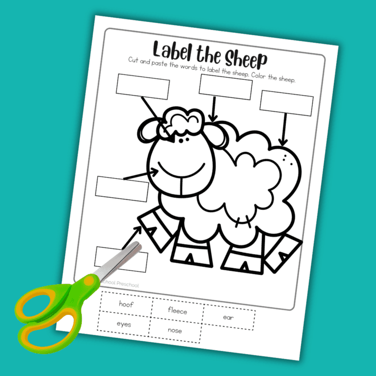 Fun Label the Sheep Worksheet for Kids' Learning
