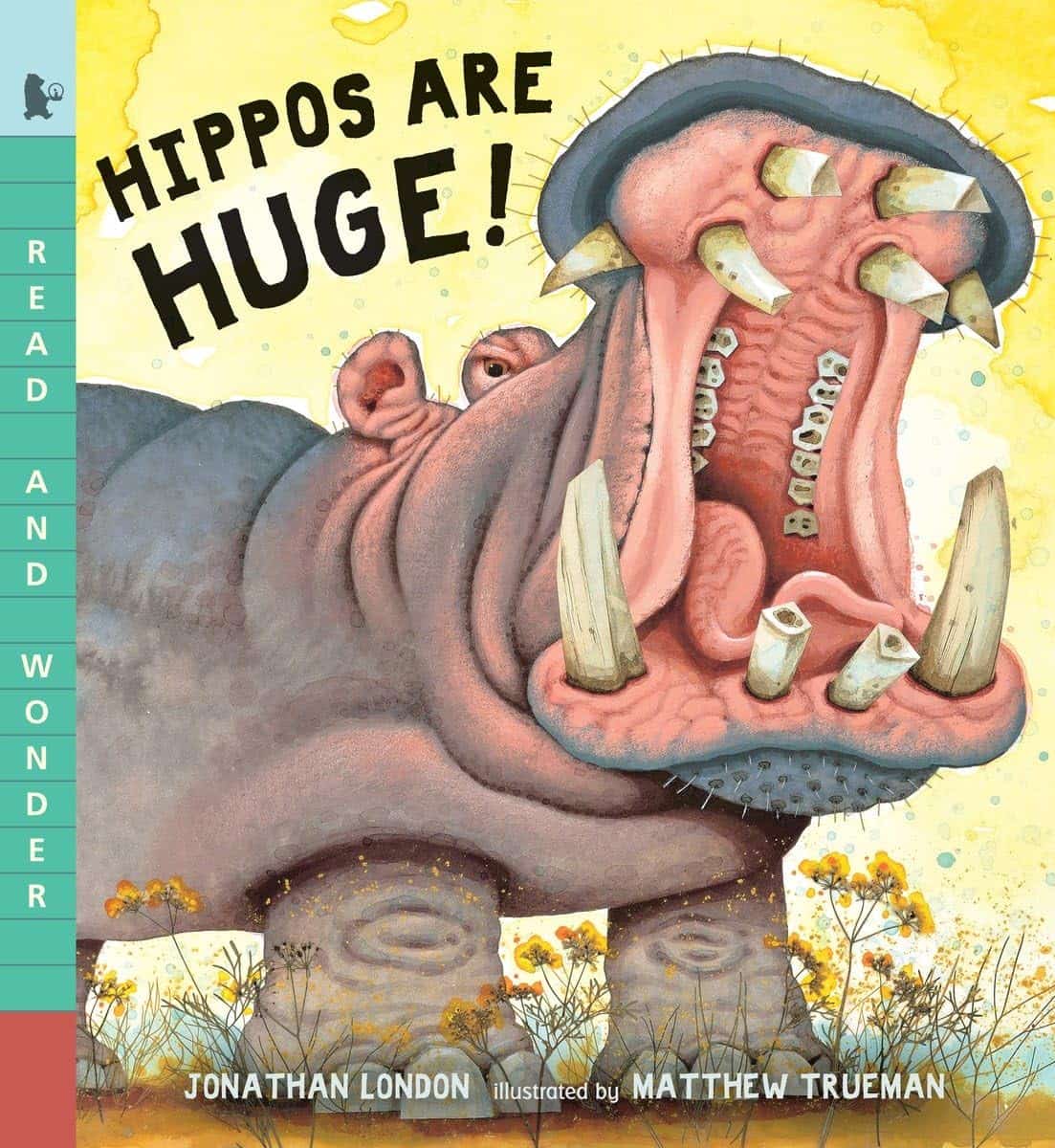 Nonfiction Animal Books for Kids - Explore the Wild!
