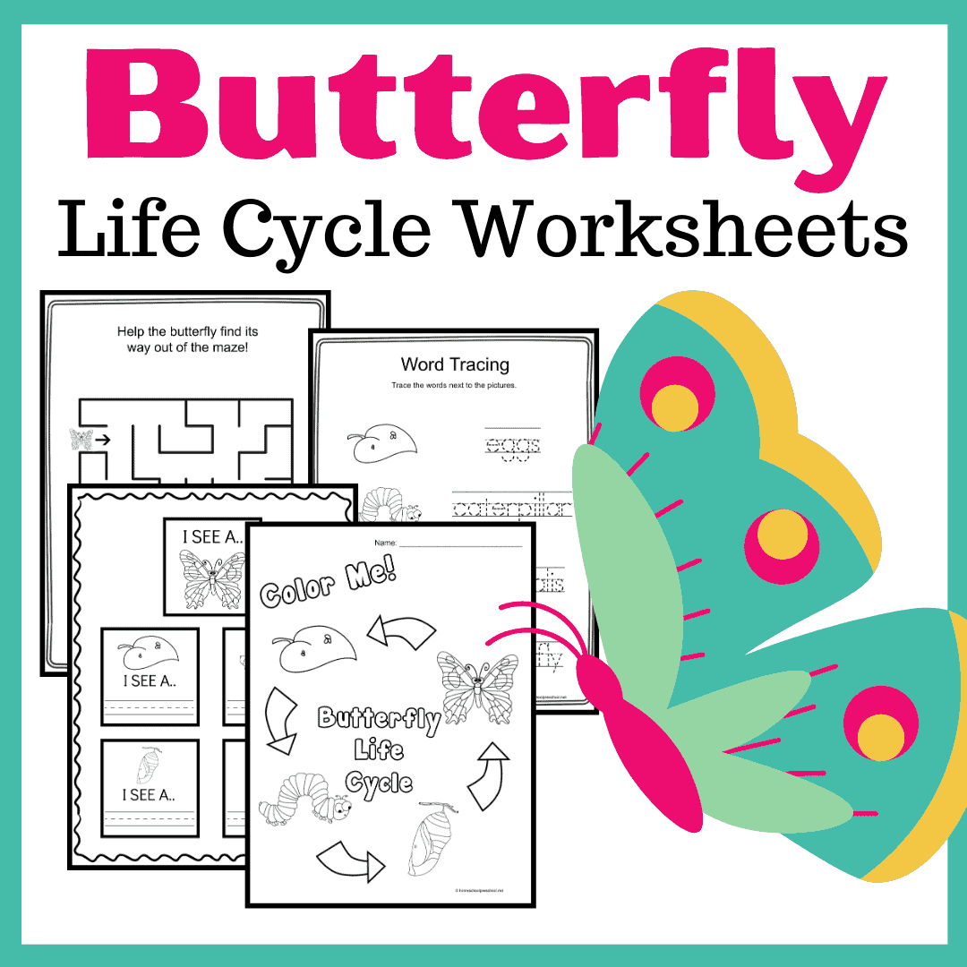 Here are your butterfly color by numbers. - Homeschool Preschool