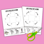 Printable Life Cycle of a Cow for Kids Worksheets