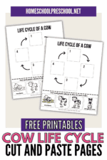 Printable Life Cycle of a Cow for Kids Worksheets