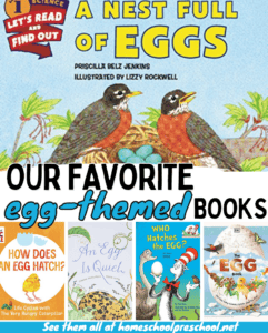 Explore the Wonders: Egg Books for Kids Collection