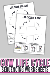 Printable Life Cycle of a Cow for Kids Worksheets