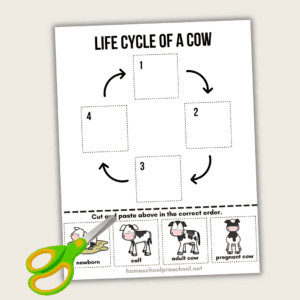 Printable Life Cycle of a Cow for Kids Worksheets