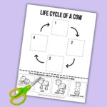 Printable Life Cycle of a Cow for Kids Worksheets