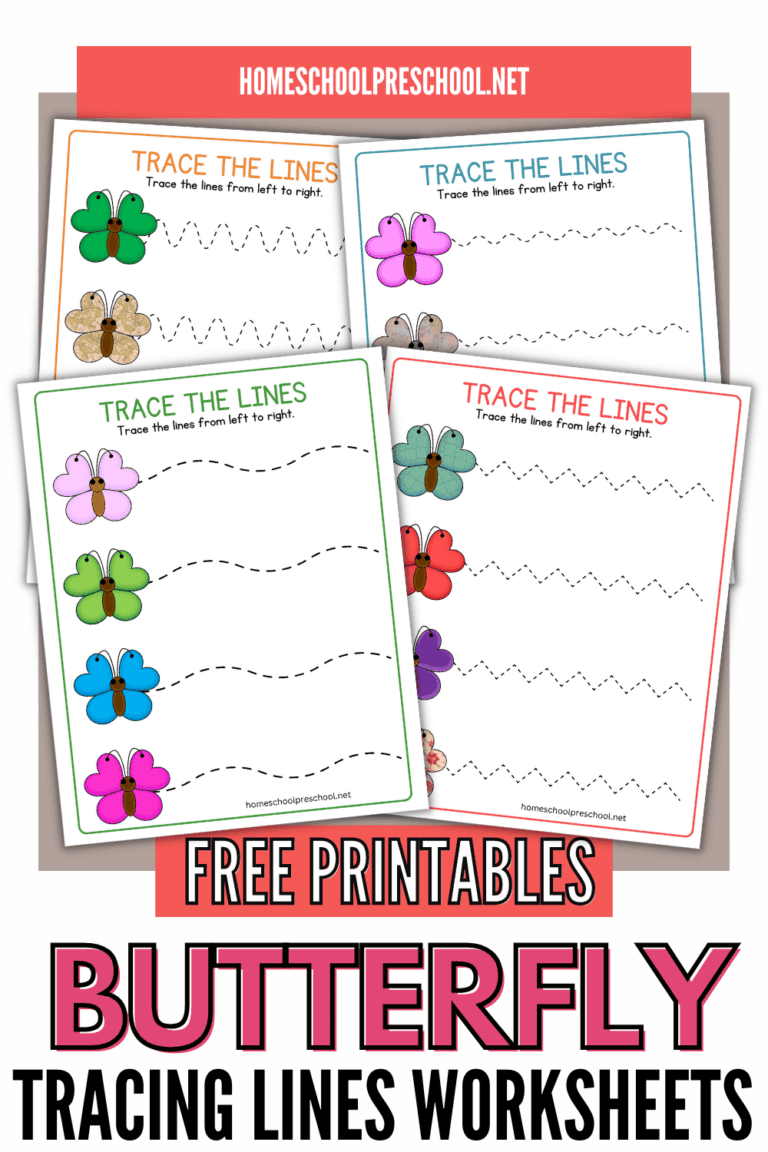 Fun Butterfly Tracing Lines Worksheets for Preschoolers