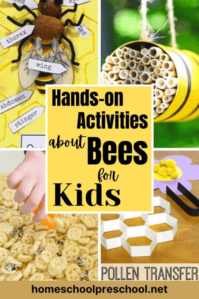 Honey Bees for Kids: The Best Hands-On Life Cycle Activities