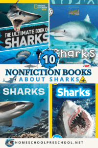 Nonfiction Books About Sharks: Dive into Facts!