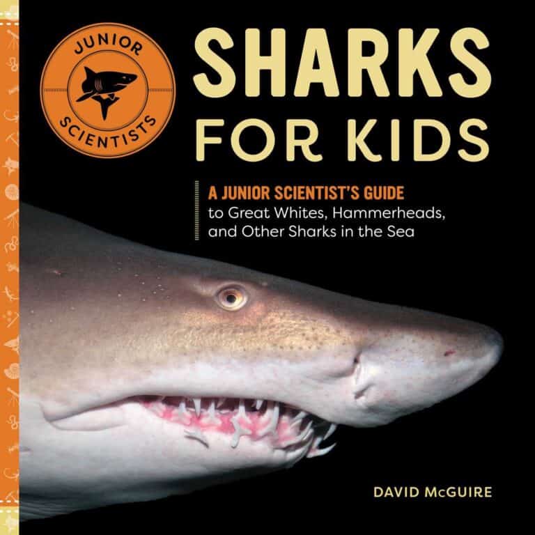 Nonfiction Books About Sharks: Dive into Facts!