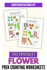 Flower Counting Worksheets - Preschool Math