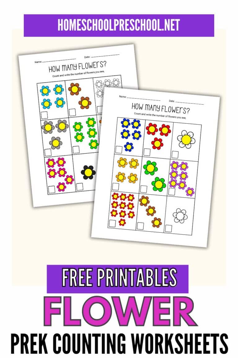 Flower Counting Worksheets - Preschool Math