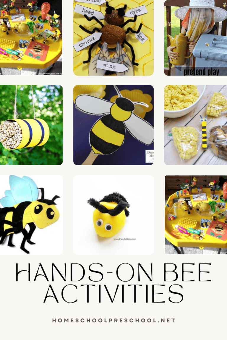 Exploring Bees for Kids: Fun Facts & Activities