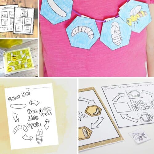 Bee Science Activities for Preschool – Easy, Fun & Hands-On!