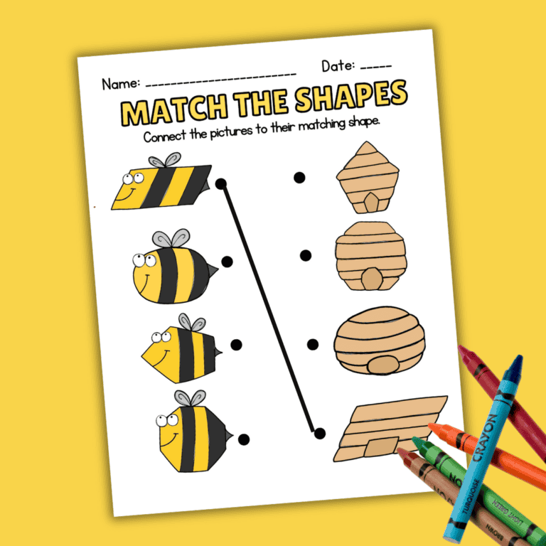 Bee Shape Matching Worksheets - Fun & Free Printables