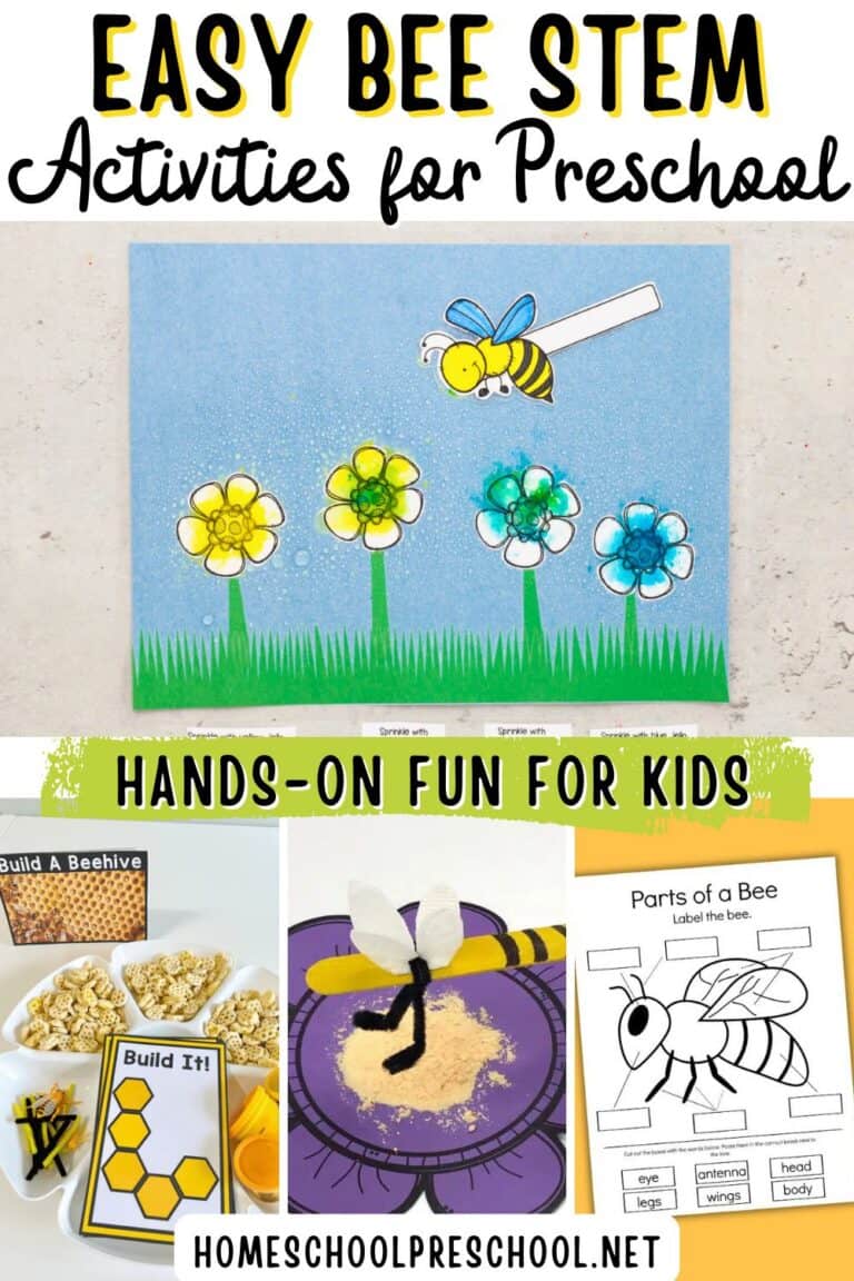 10 Bee STEM Activities for Preschoolers That Make Learning Fun