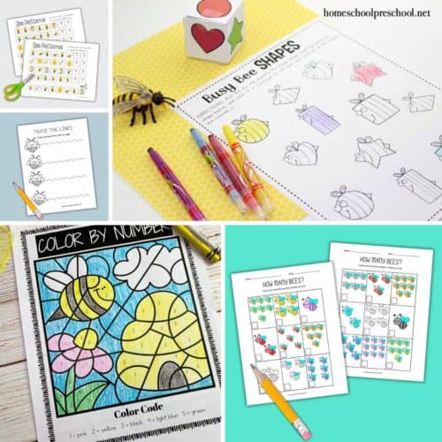 Bee Science Activities for Preschool – Easy, Fun & Hands-On!