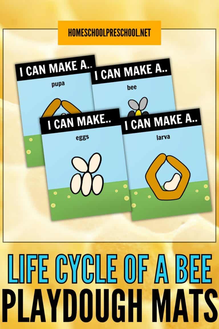 Life Cycle of a Bee Activity | Playdough Learning Fun