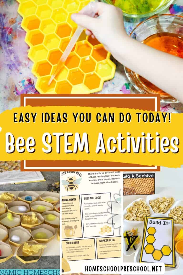 10 Bee STEM Activities for Preschoolers That Make Learning Fun