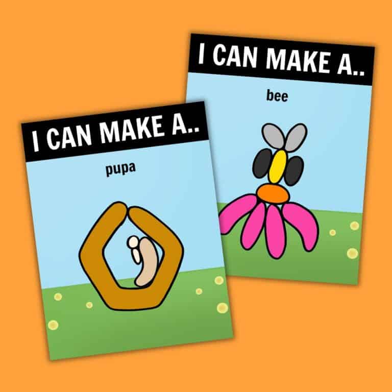 Life Cycle of a Bee Activity | Playdough Learning Fun