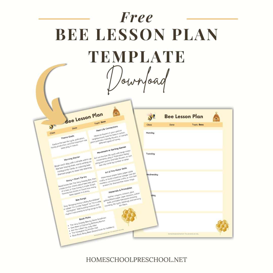 Bee Science Activities for Preschool – Easy, Fun & Hands-On!