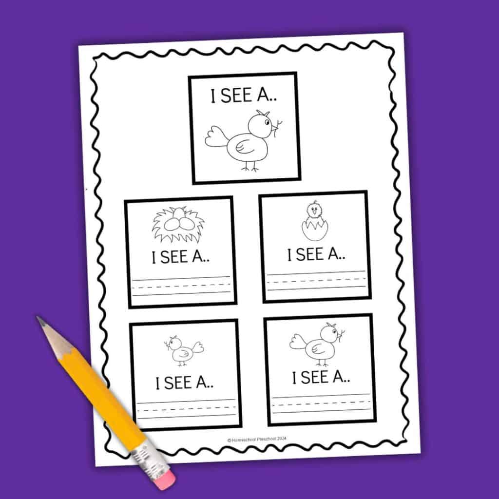 Bird Life Cycle Download Homeschool Preschool Bird Life Cycle Download Homeschool Preschool