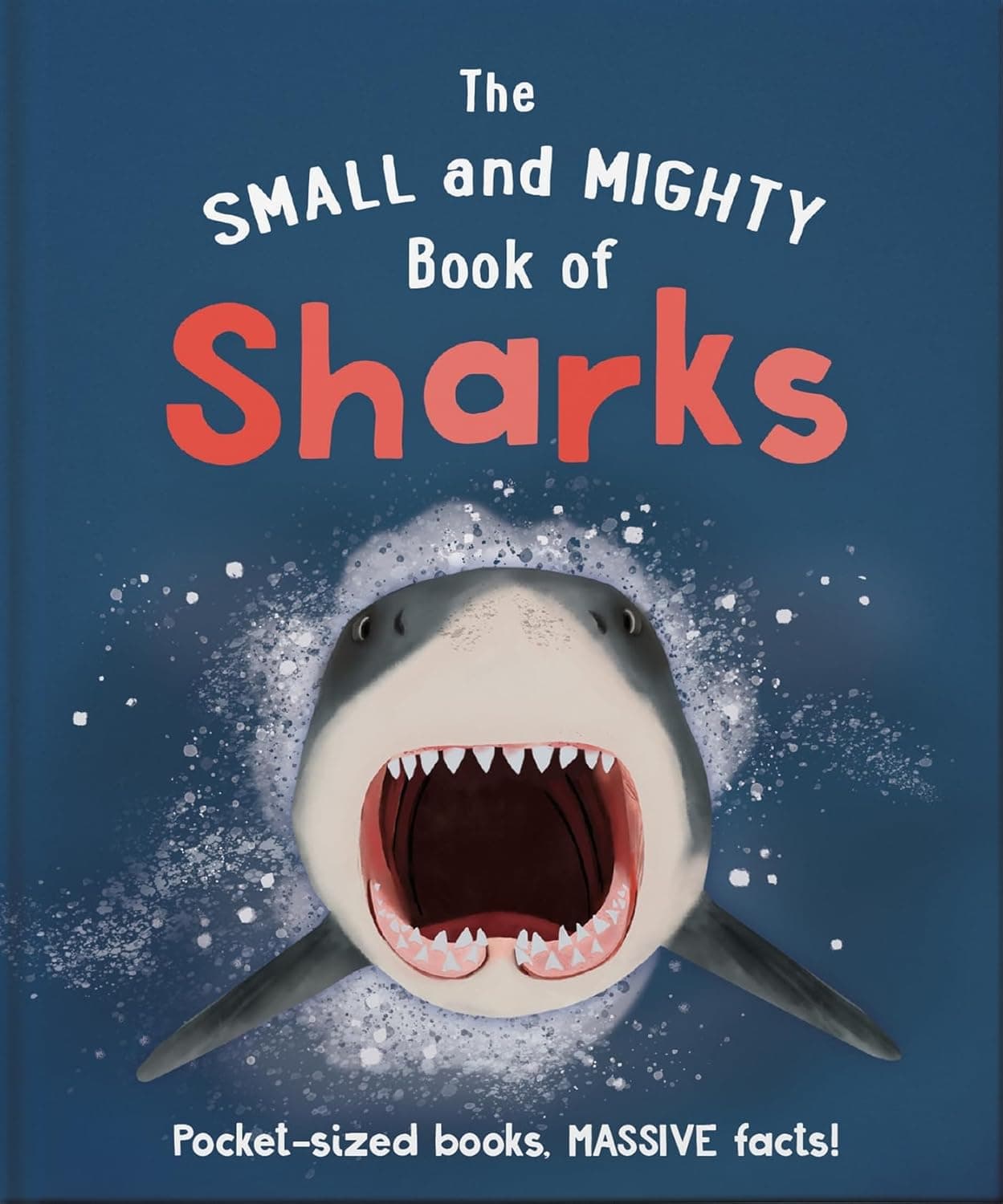 Nonfiction Books About Sharks for Kids (Ages 3–6)