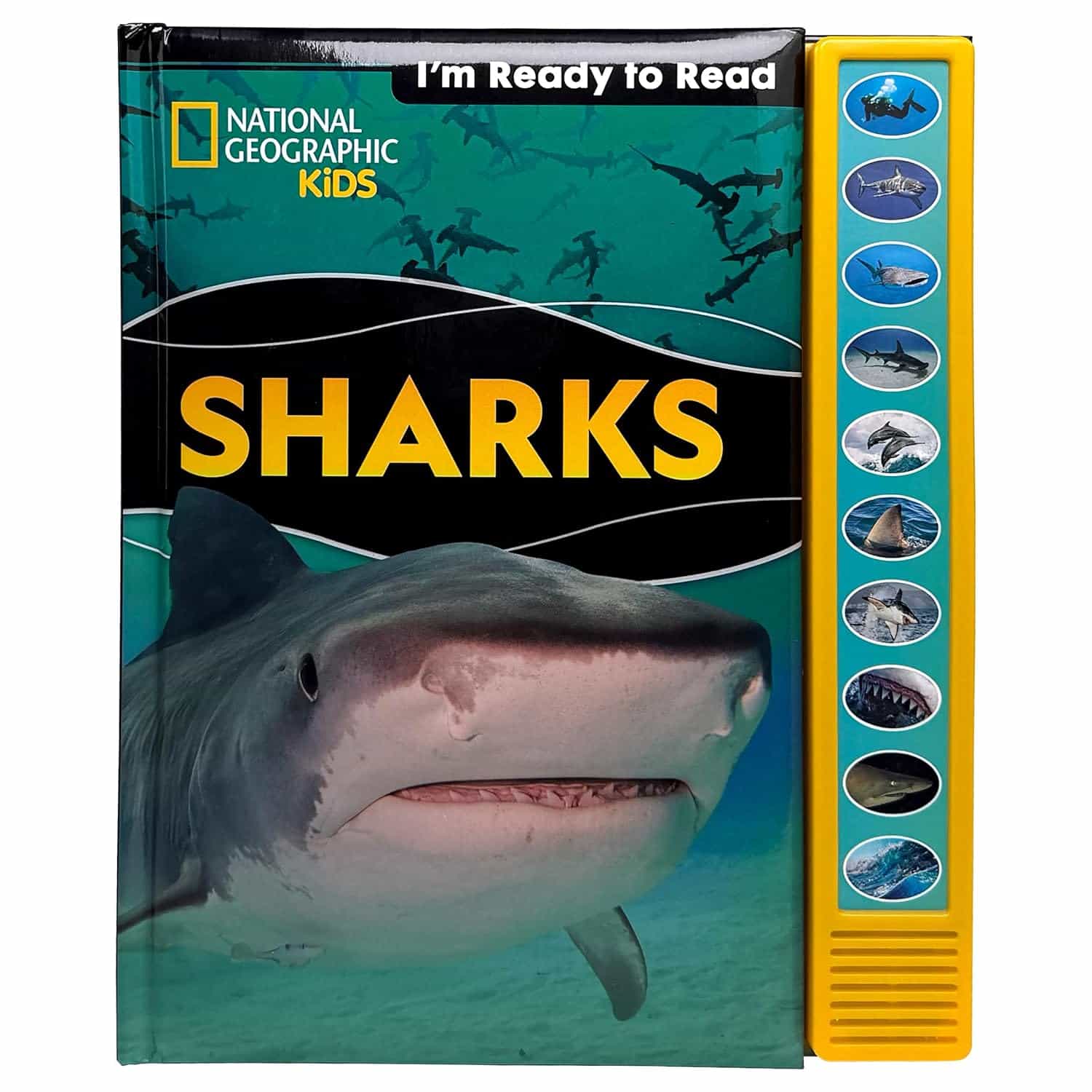 Nonfiction Books About Sharks for Kids (Ages 3–6)