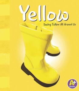 Colorful Fun! Books About Colors for Preschoolers