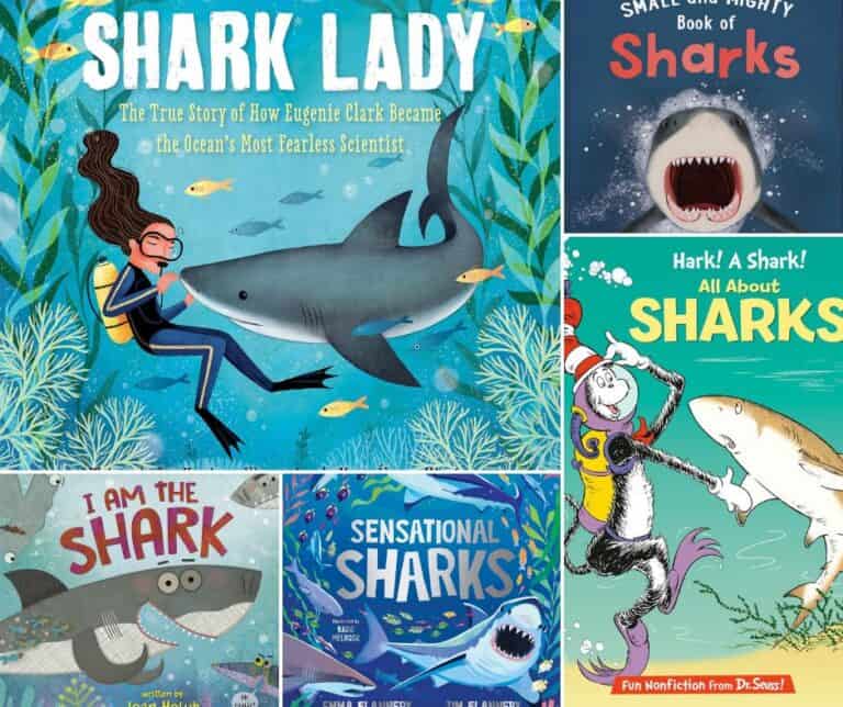 Nonfiction Books About Sharks for Kids (Ages 3–6)