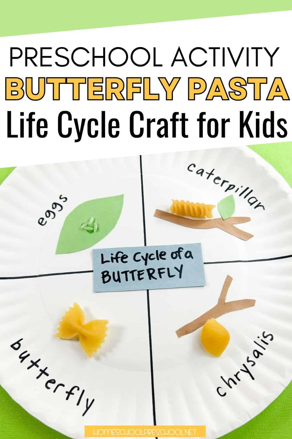 Butterfly Life Cycle Craft with Pasta (Easy Paper Plate Activity)