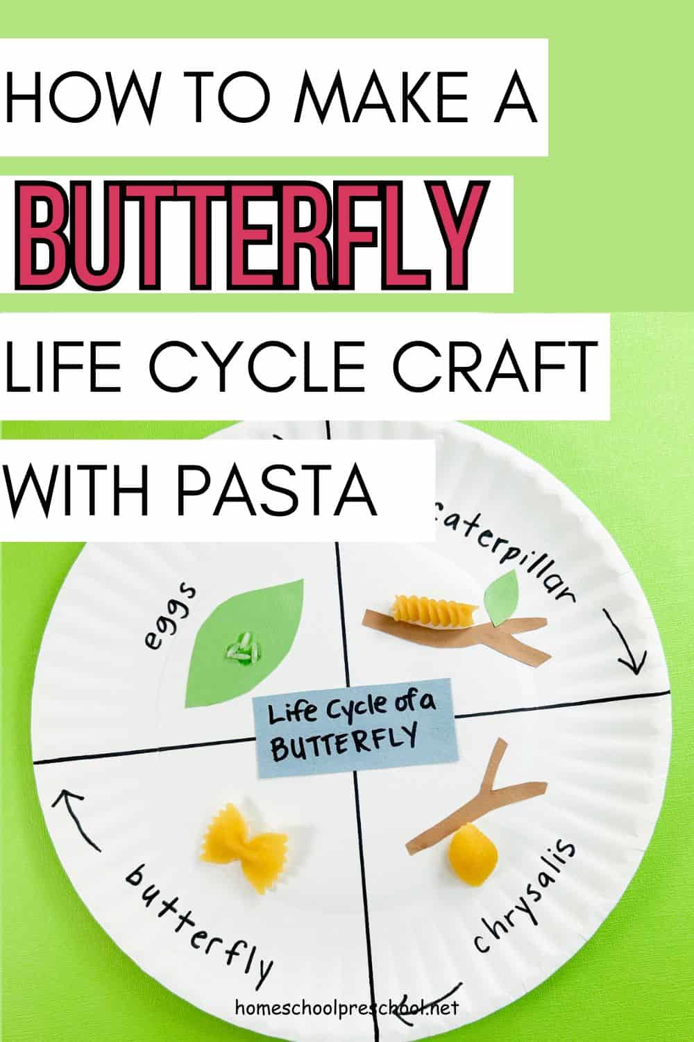 Butterfly Life Cycle Paper Plate