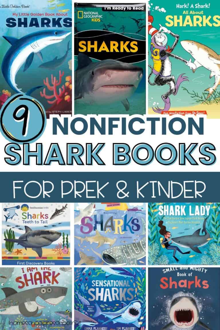 Nonfiction Books About Sharks for Kids (Ages 3–6)