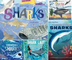 Nonfiction Books About Sharks for Kids (Ages 3–6)