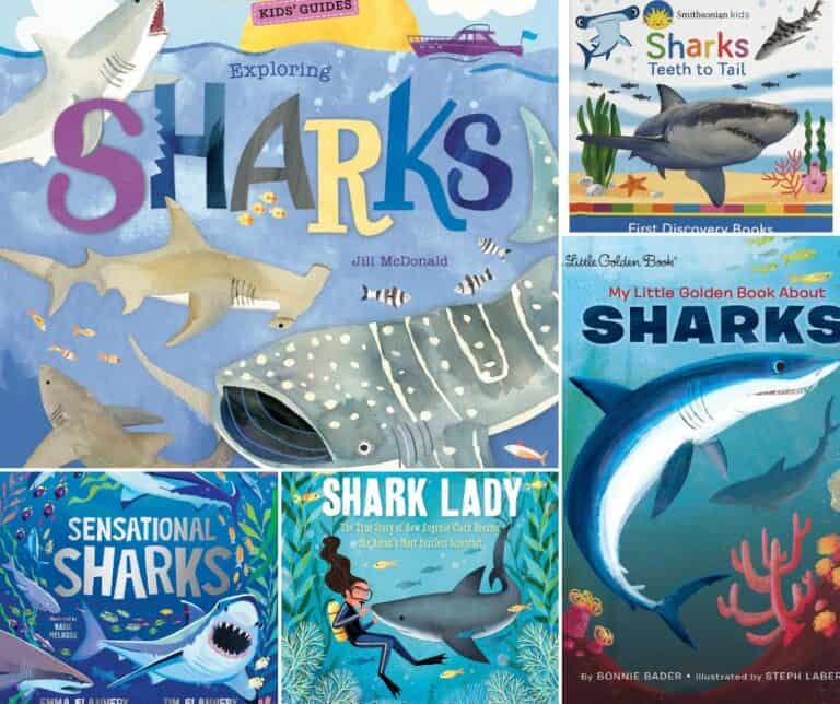 Nonfiction Books About Sharks for Kids (Ages 3–6)