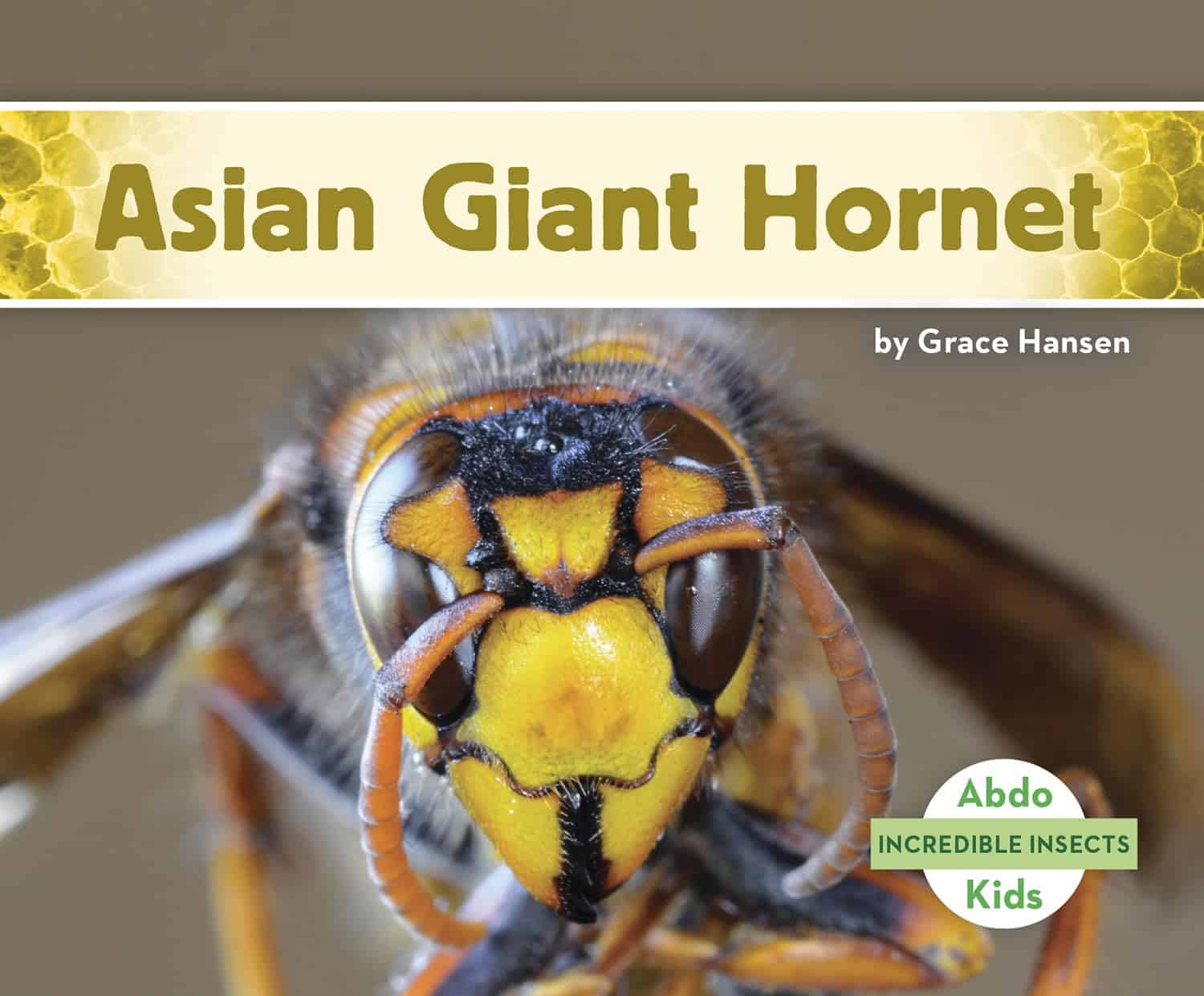 Nonfiction Books About Insects: Top Picks for Preschoolers