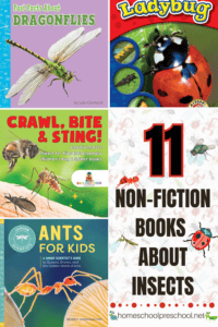 Nonfiction Books About Insects: Top Picks for Preschoolers
