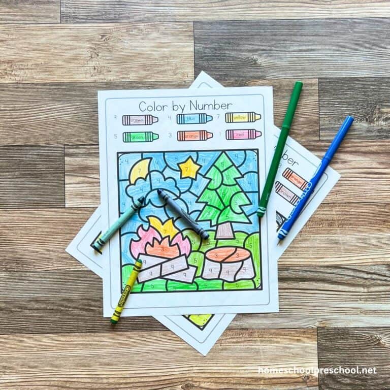 Fun Color By Number Camping Worksheets for Preschoolers