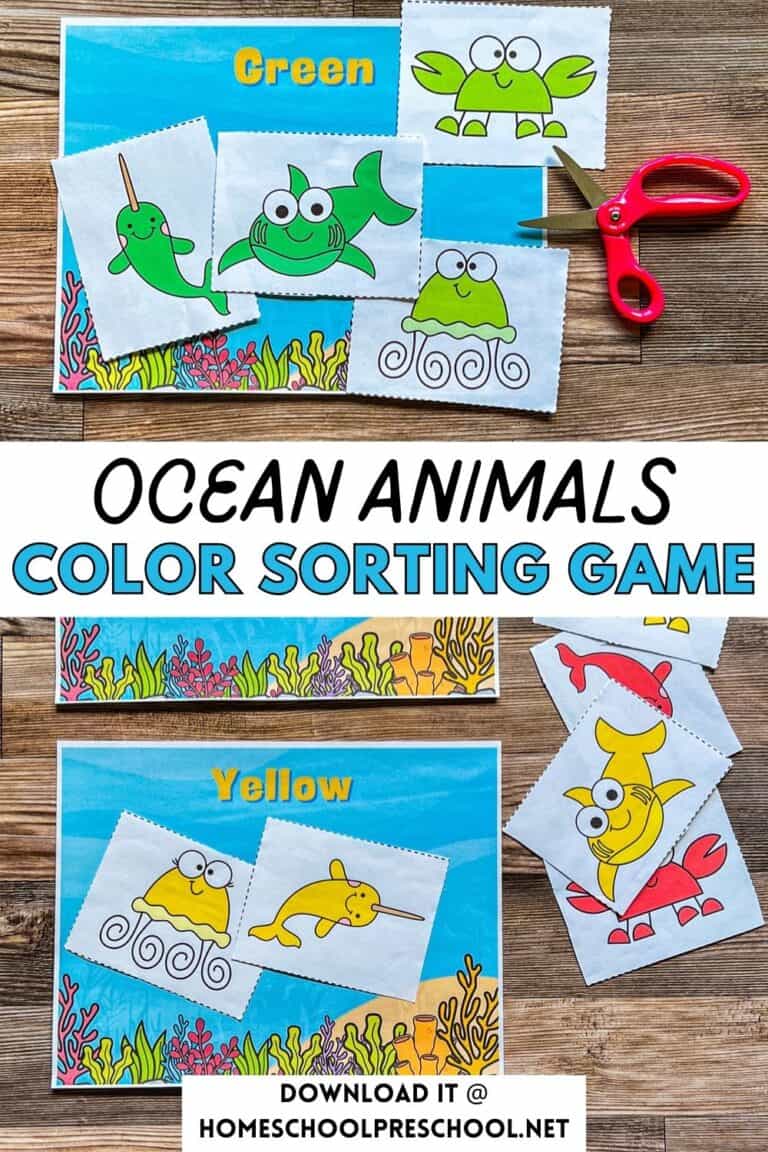 Ocean Color Sorting Game: Fun Learning Activity for Kids