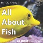 Engaging Fish Books for Preschoolers to Spark Learning
