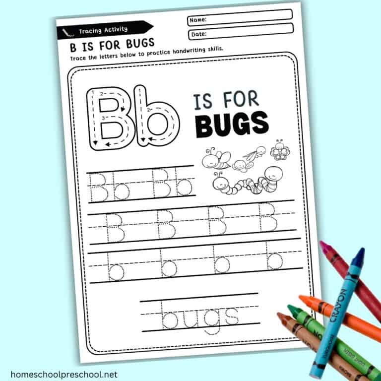 Fun Preschool Bug Worksheets | Free Printables