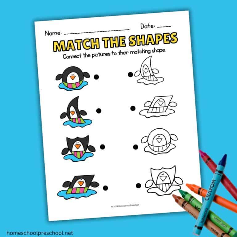 Beach Penguins Shape Matching Worksheets for Preschool