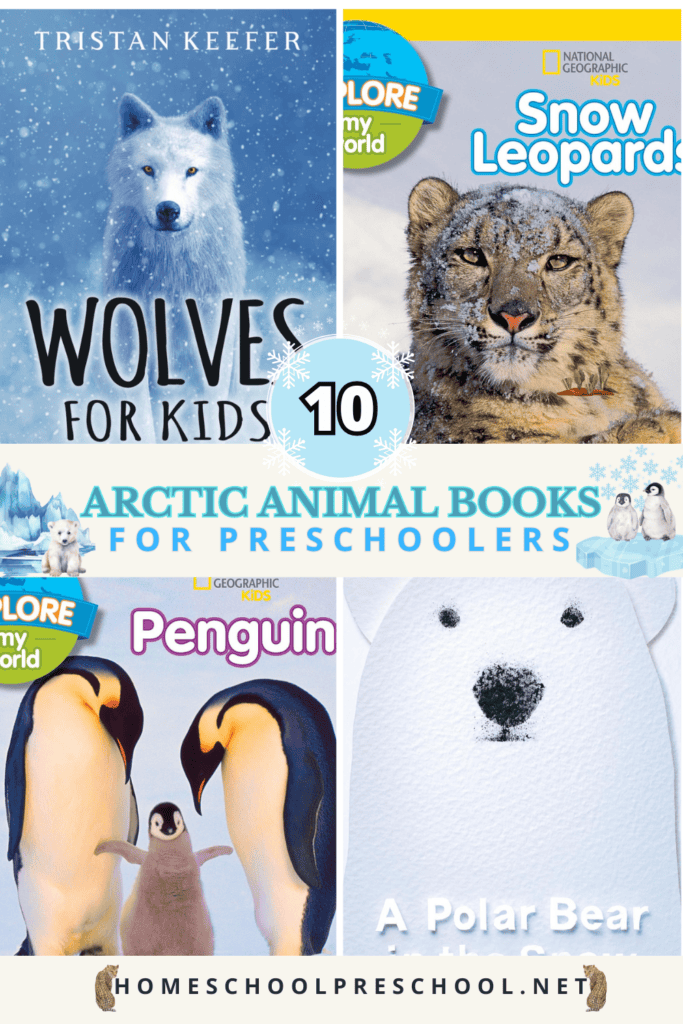 Best Arctic Animal Books for Preschoolers: Fun & Learning