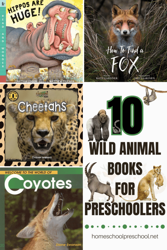 Engage and Educate with Wild Animal Books for Preschoolers
