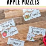 Apple Life Cycle Puzzles for Preschool & Pre-K