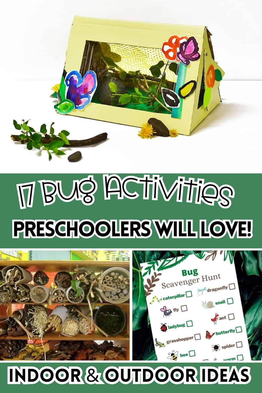 Bug Activities for Preschoolers (Easy Ideas for Ages 3–5)